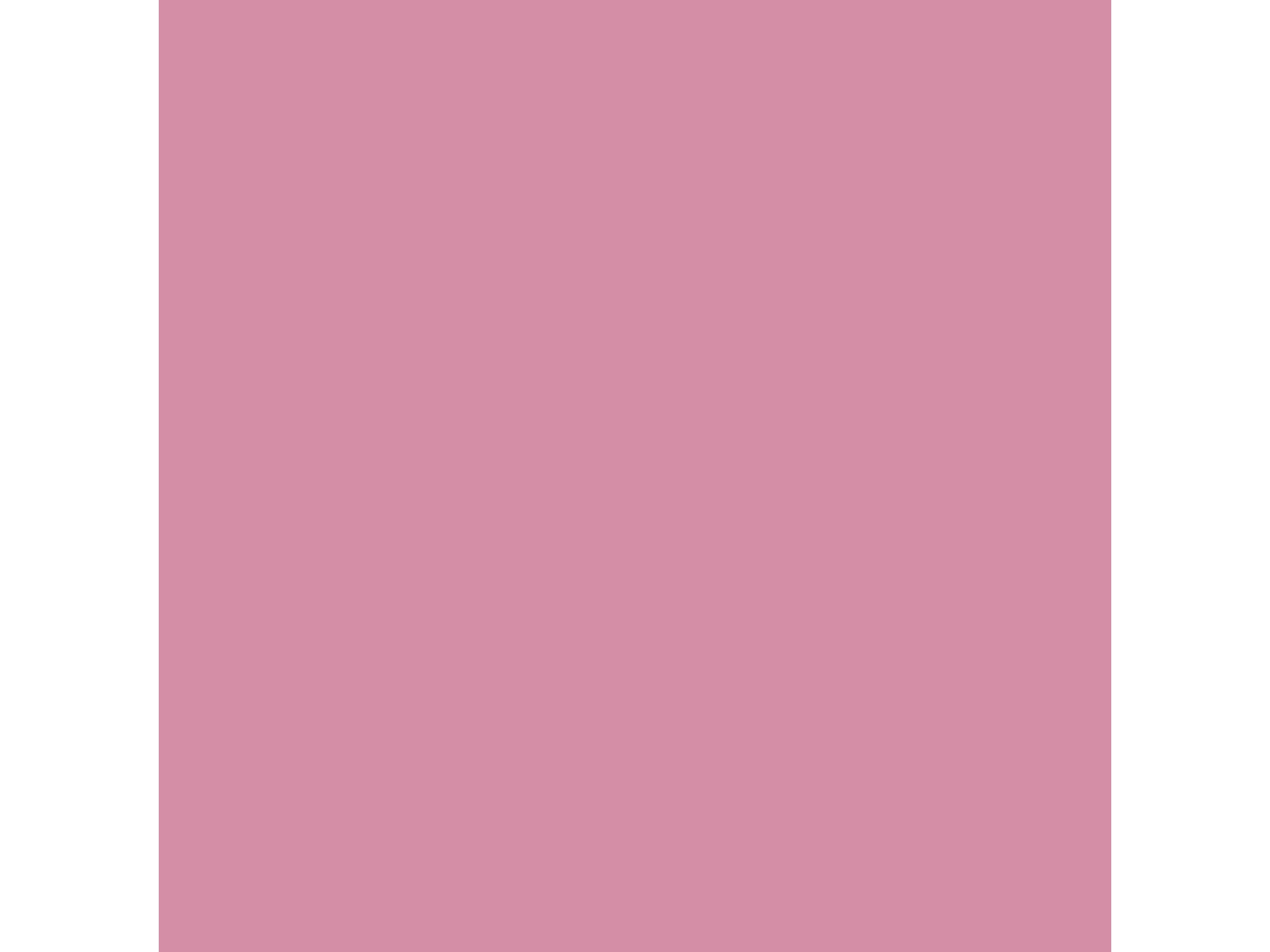 Rosco E-Colour 5201 New Schubert Pink (48" x 25' Roll) | NZ